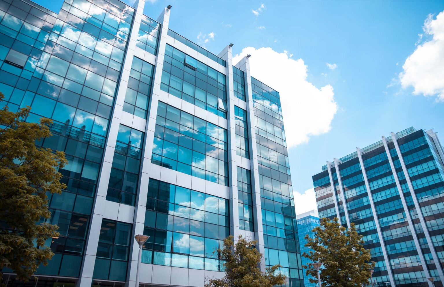 Veoci Vitals EM - Veoci